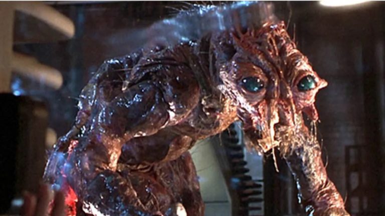 Seth Brundle (Brundlefly): The Tragic Horror of The Fly